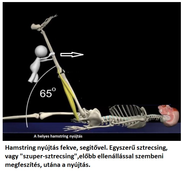 A legújabb technikák: komplex nyújtás - ellenállásos nyújtás | Sport&Move